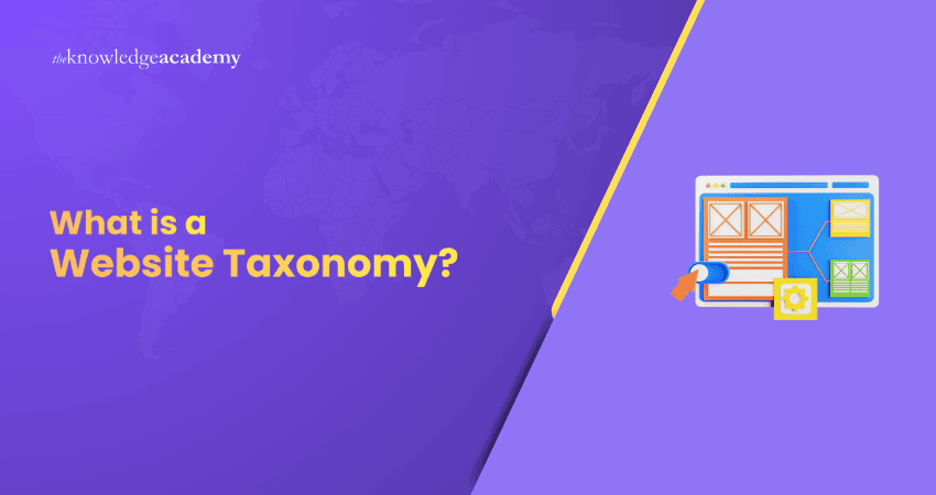 Website Taxonomy: Definition, Types and Best Practices
