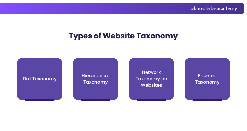 Website Taxonomy: Definition, Types and Best Practices