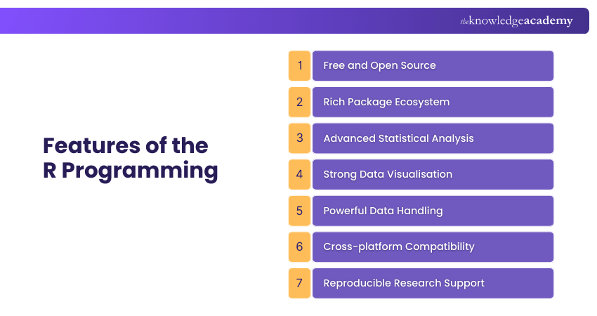 What is R Programming? Everything You Should Know