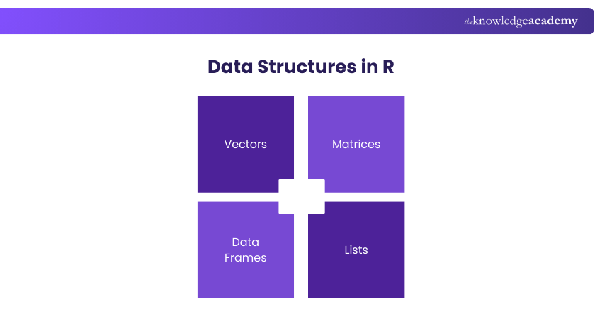 What is R Programming? Everything You Should Know