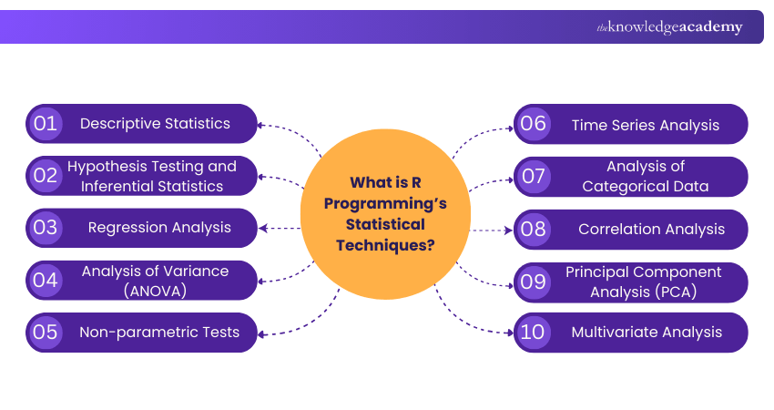 What is R Programming? Everything You Should Know