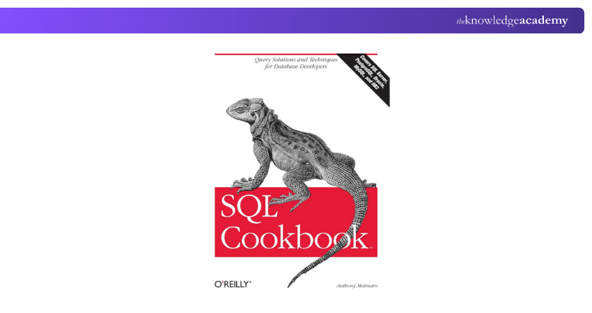 Best SQL Books to Master Databases: Beginner to Advanced