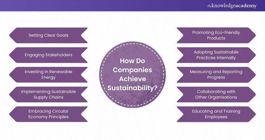 Why Sustainability is Important in Business? Explained