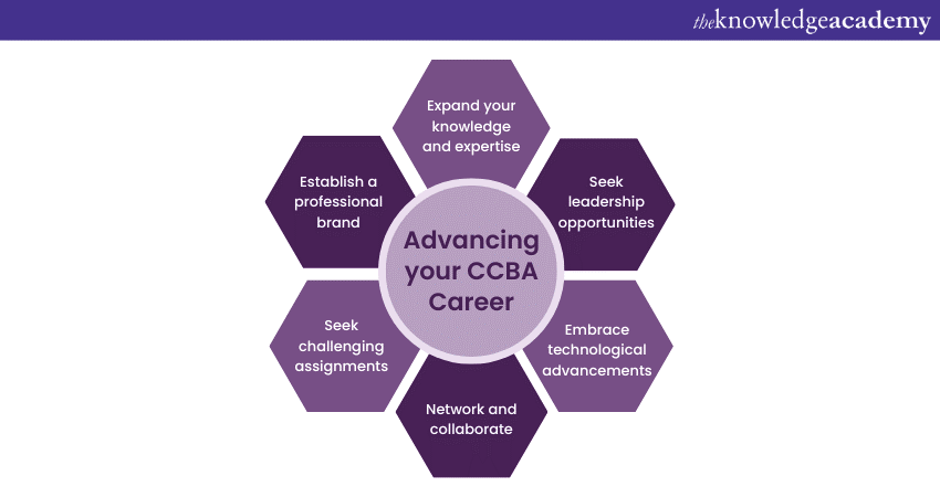 CCBA Career Guide: Unlocking Opportunities in Business Analysis