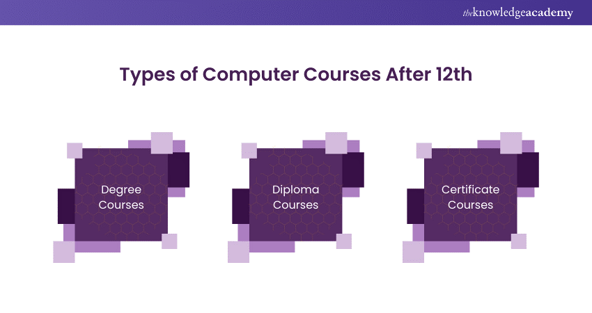 Best Computer Courses After 12th for a Promising Career Path
