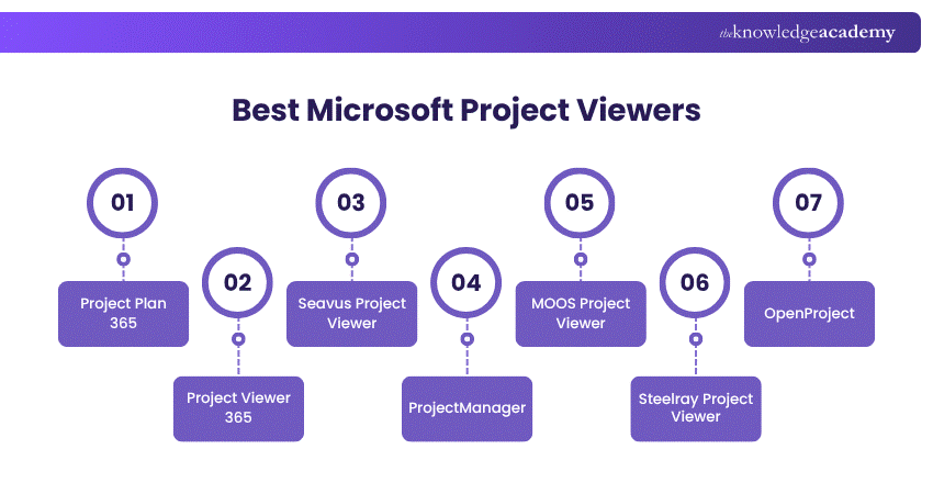What is Microsoft Project Viewer? Free & Paid Options