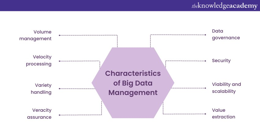 What is Big Data Management? Explained in Detail