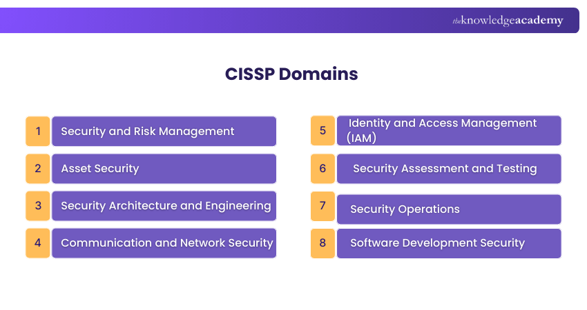 CISSP Exam Requirements for Professionals