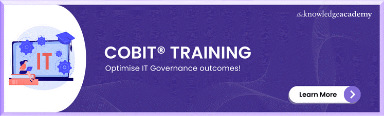 COBIT 5 Principles: Fully Explained