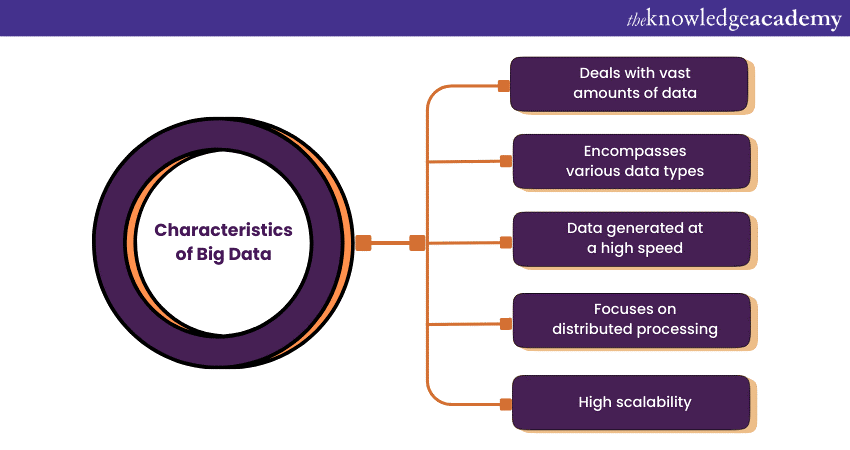 Big Data vs Data Warehouse: Understanding the Pros and Cons