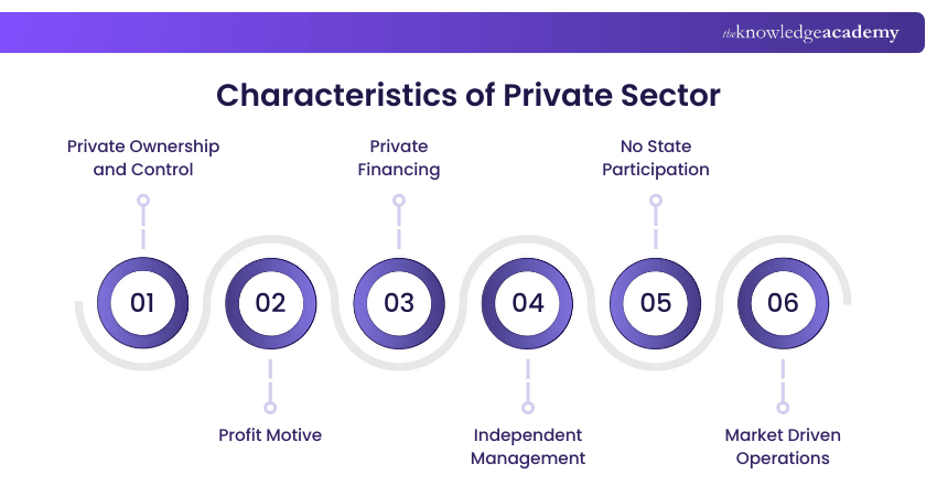 What is the Private Sector? Everything You Should Know