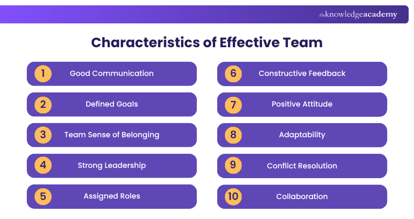 10 Characteristics of an Effective Team for Better Results