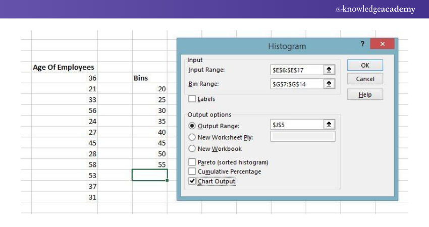 How to Make a Histogram in Excel? Quick Guide