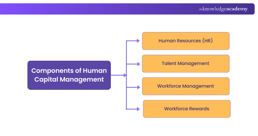 What is Human Capital Management (HCM)? Explained in Detail