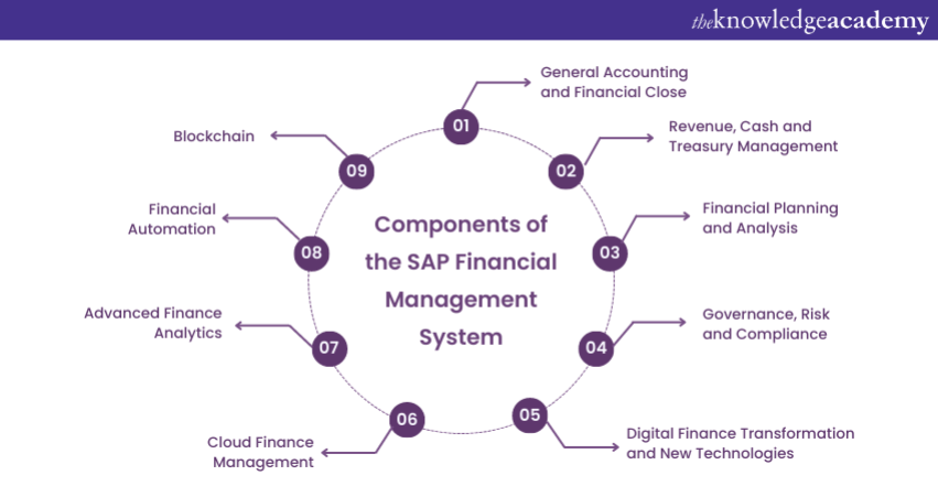 What is FMS (Financial Management System) in SAP?