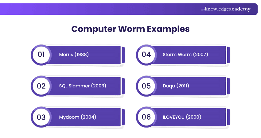 What is a Computer Worm? Everything You Need to Know