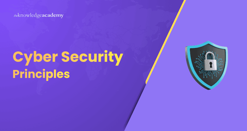 Cyber Security Principles