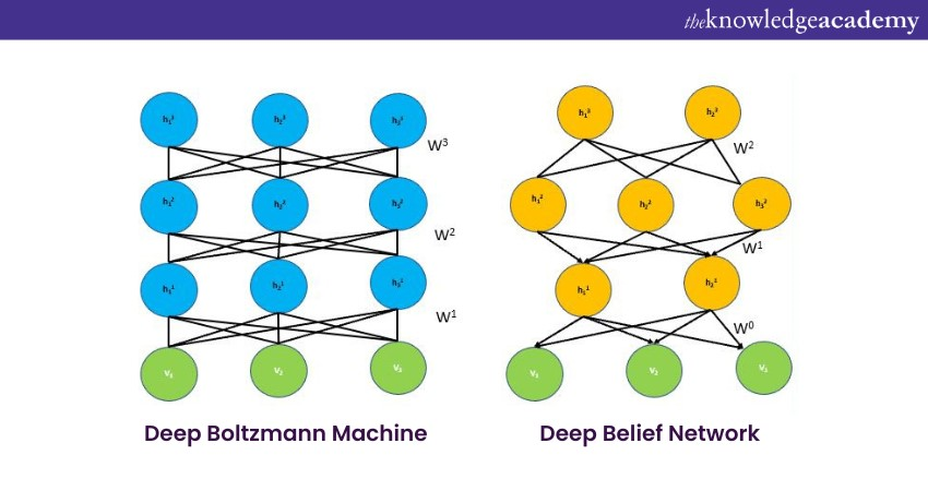 Top 10 Deep Learning Algorithms to Know in 2025