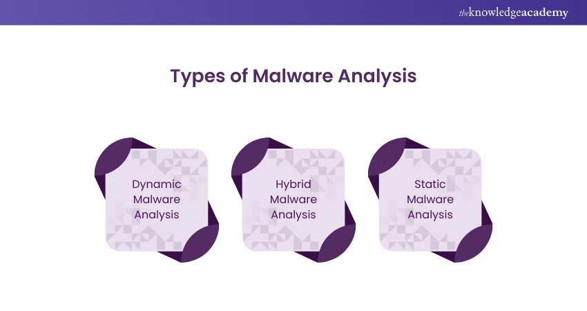 Malware Analysis: Definition, Types & Benefits