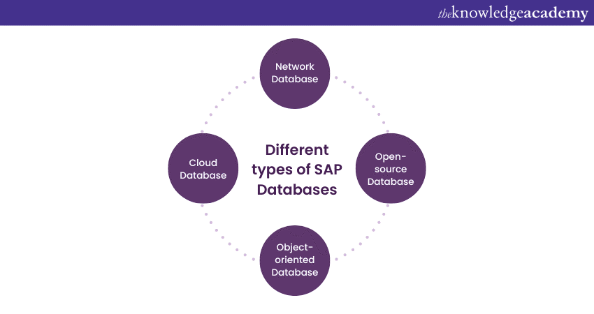 What is SAP Database? A Guide for 2023