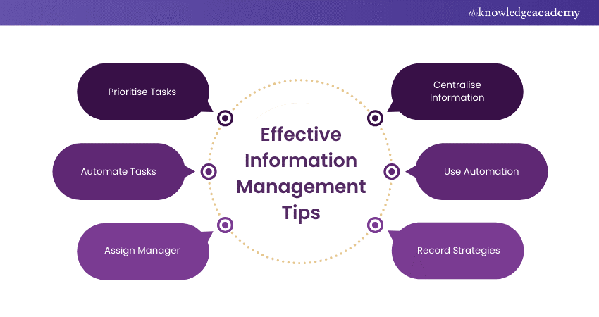 What is Information Management? Explained in Detail