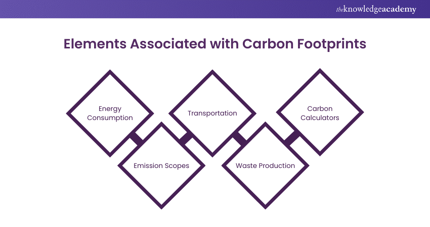 How Can a Business Become More Sustainable? A Complete Guide