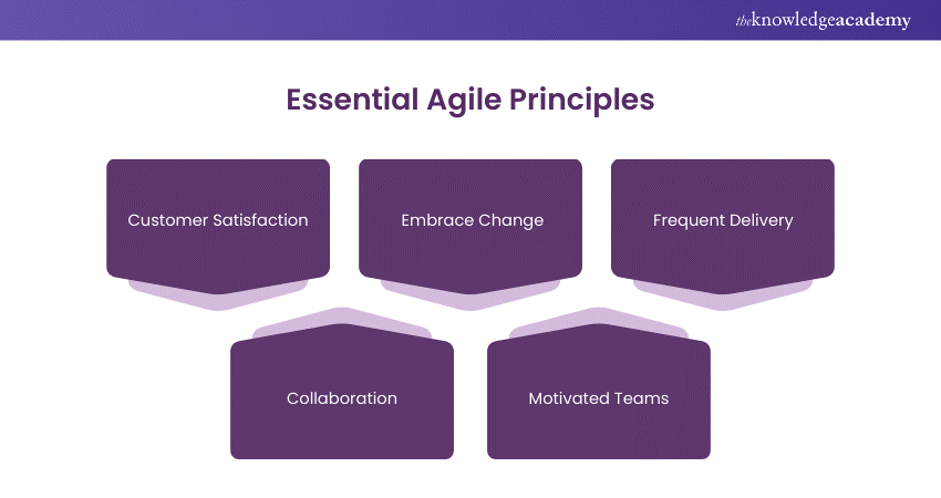 Agile Tester Roles and Responsibilities in Agile Methodology