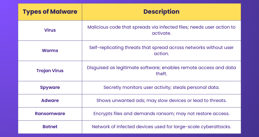 What is Malware? Exploring Common Internet Attack