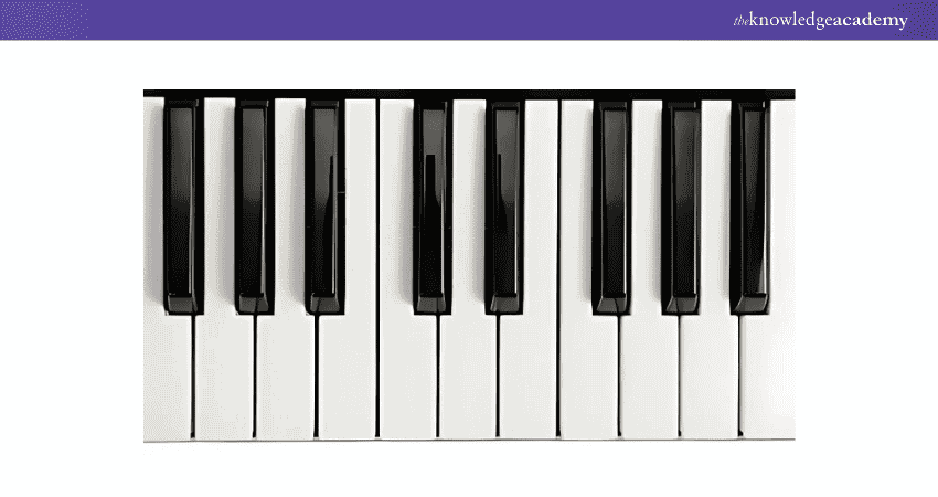 How to Play Piano: A Step-by-Step Guide on Learning Piano