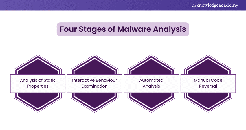 Malware Analysis: Definition, Types & Benefits