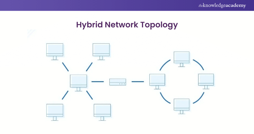 What is Network Topology: Key Concepts and Applications