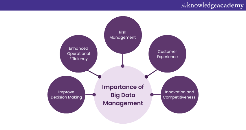 What is Big Data Management? Essentials & Benefits