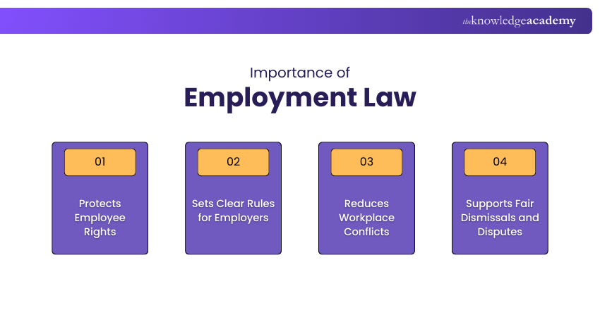 Understanding Employment Laws: What it is and Why it Matters