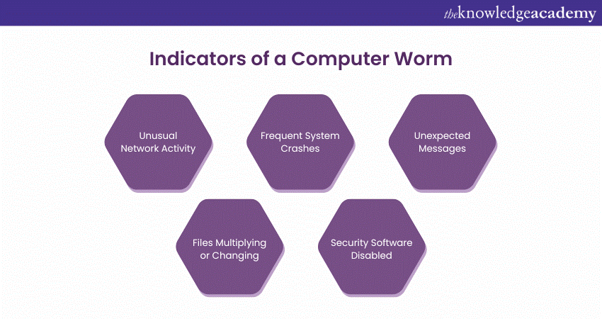 Computer Worm: How Do They Operate and How to Prevent Them?