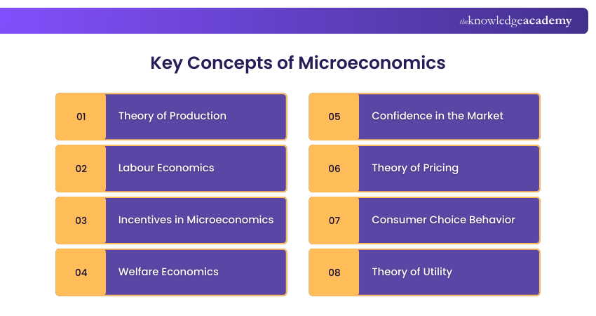 What Is Microeconomics? Concepts and Uses