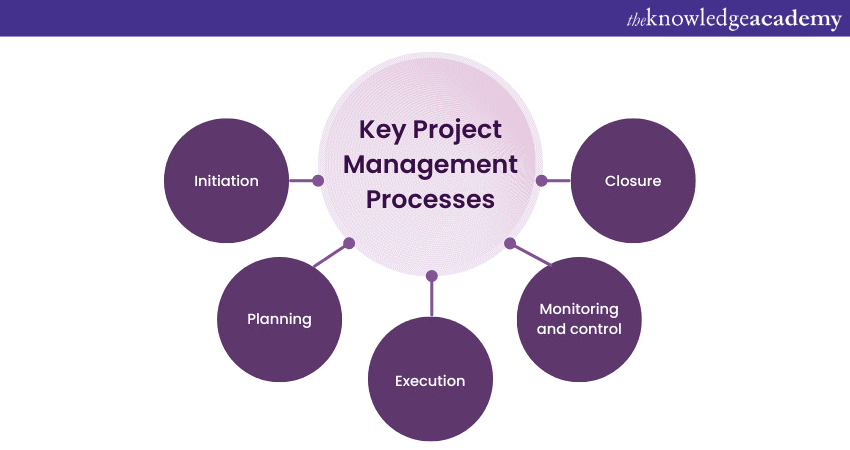 Effective Project Management Processes for Success