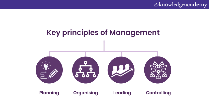 What is Management? Functions, Objectives and Much More