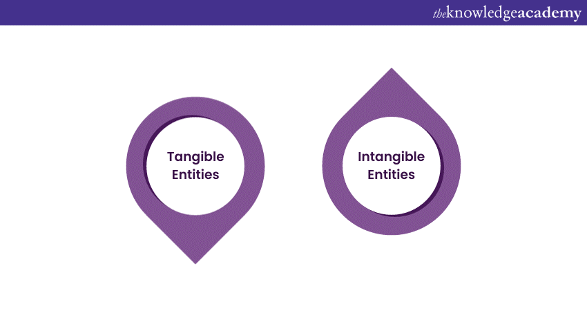 Entity in DBMS: What it is and Its Types with Examples