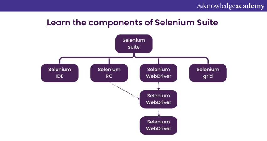 Top Selenium with Python Interview Questions & Answers