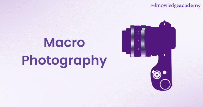 Macro Photography: Exploring the Microcosm