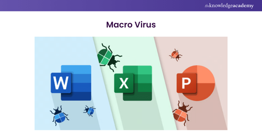 7 Most Common Types Of Computer Viruses