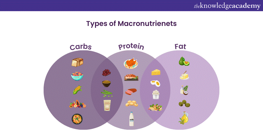 Types Of Nutrition: Eat Smart, Live Better