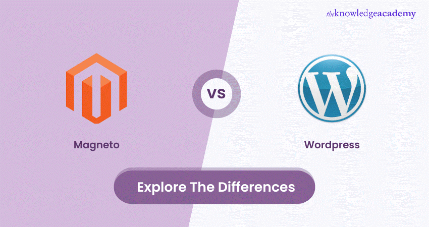 Magento vs Wordpress: Choose The Best Ecommerce Store