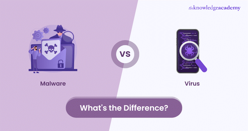 Malware vs Virus: Which is More Dangerous?
