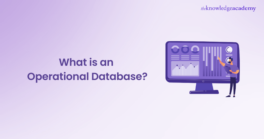 What is an Operational Database: Features and Examples