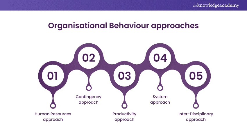 Approaches of Organisational Behaviour: Explained