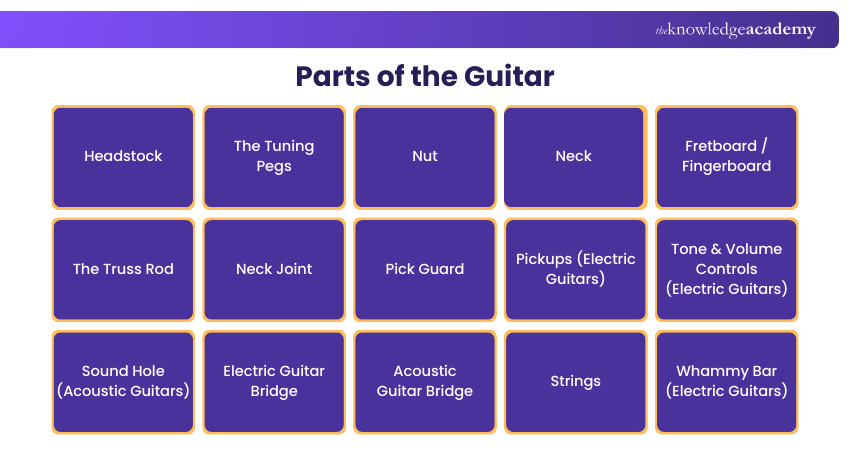Guitar Parts Guide: Learn the Essential Components