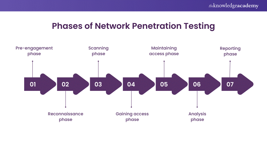 Network Penetration Testing: How Does It Work
