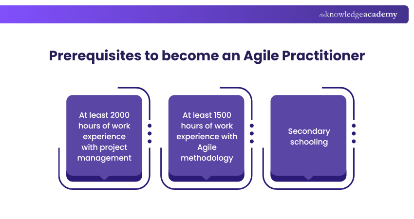 What is an Agile Practitioner?
