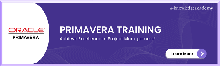 Primavera P6 vs MS Project: Which is better for your project?